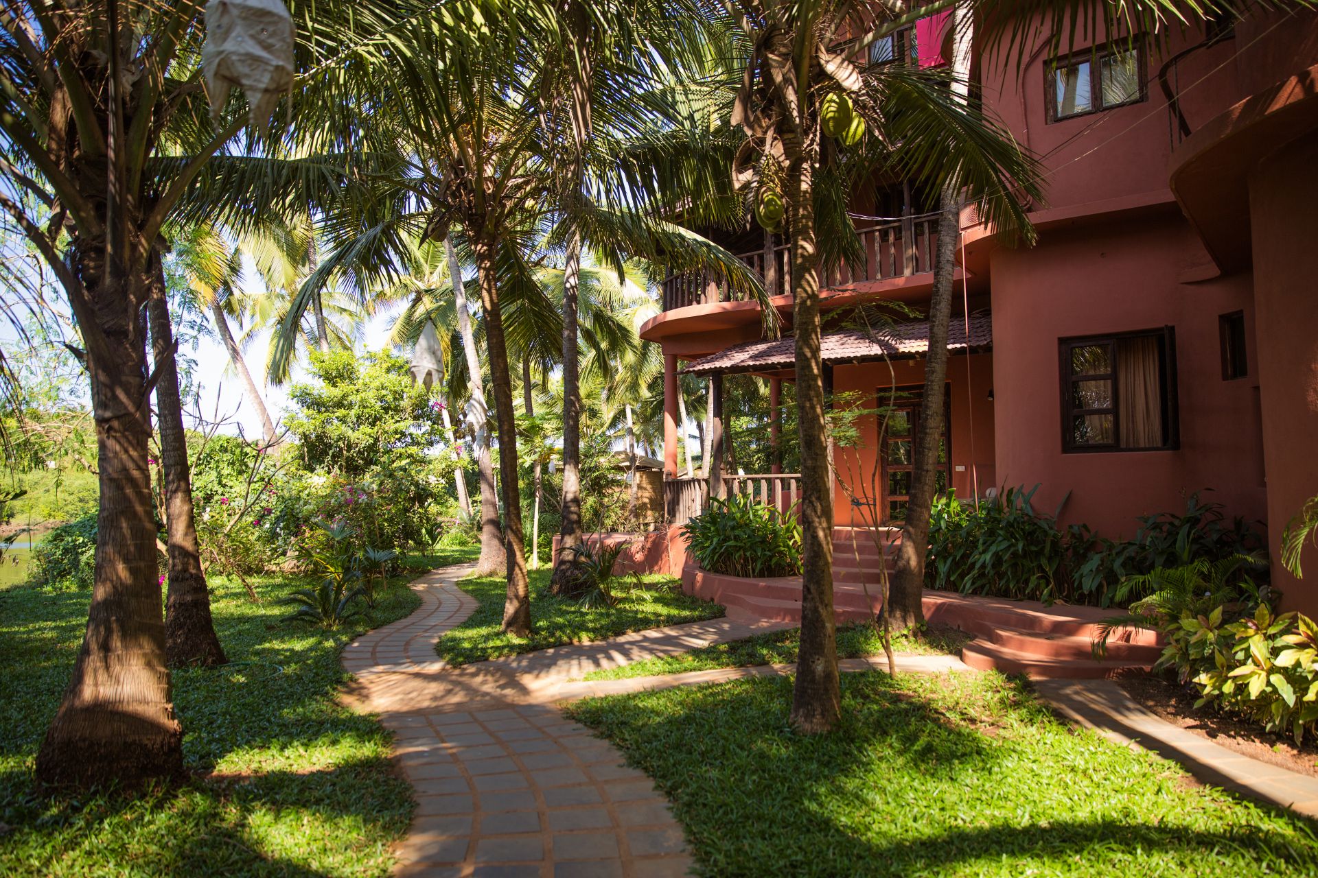 Yoga en Ayurveda in Goa (India) - Happy Soul Travel
